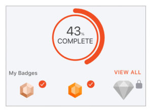 Learning Platform's Features & How It Works I Practera