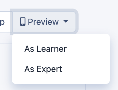 Previewing Your Experience - Practera